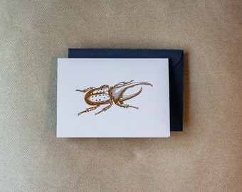 Insect Note Cards - Etsy