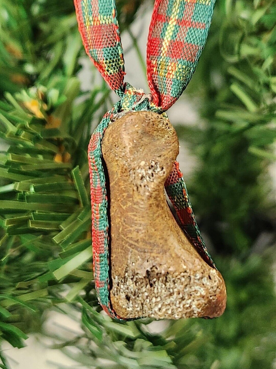 Tapir Toe Bone Christmas Tree Ornament - Florida Pleistocene - Ice Age ...