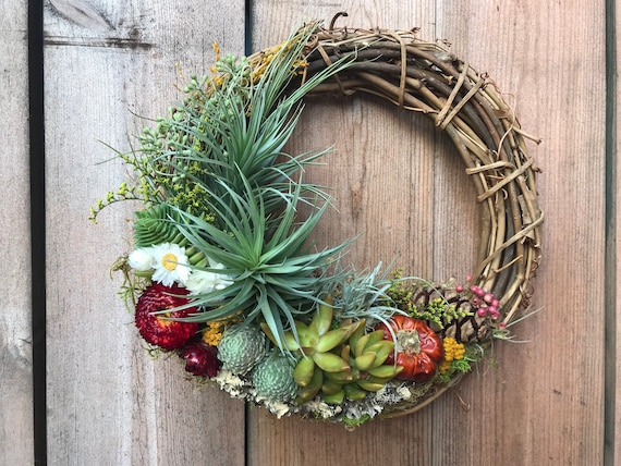 Fall Harvest Living Wreath Live Succulents Air Plants and | Etsy