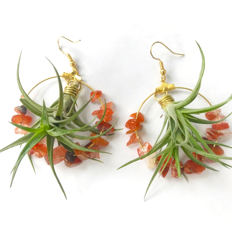 Plant Jewelry - Etsy