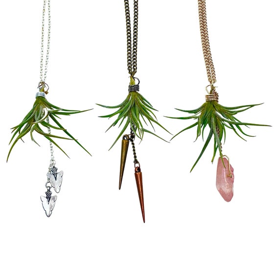 Living Air Plant Necklace With Charms Gemstones Crystals or | Etsy