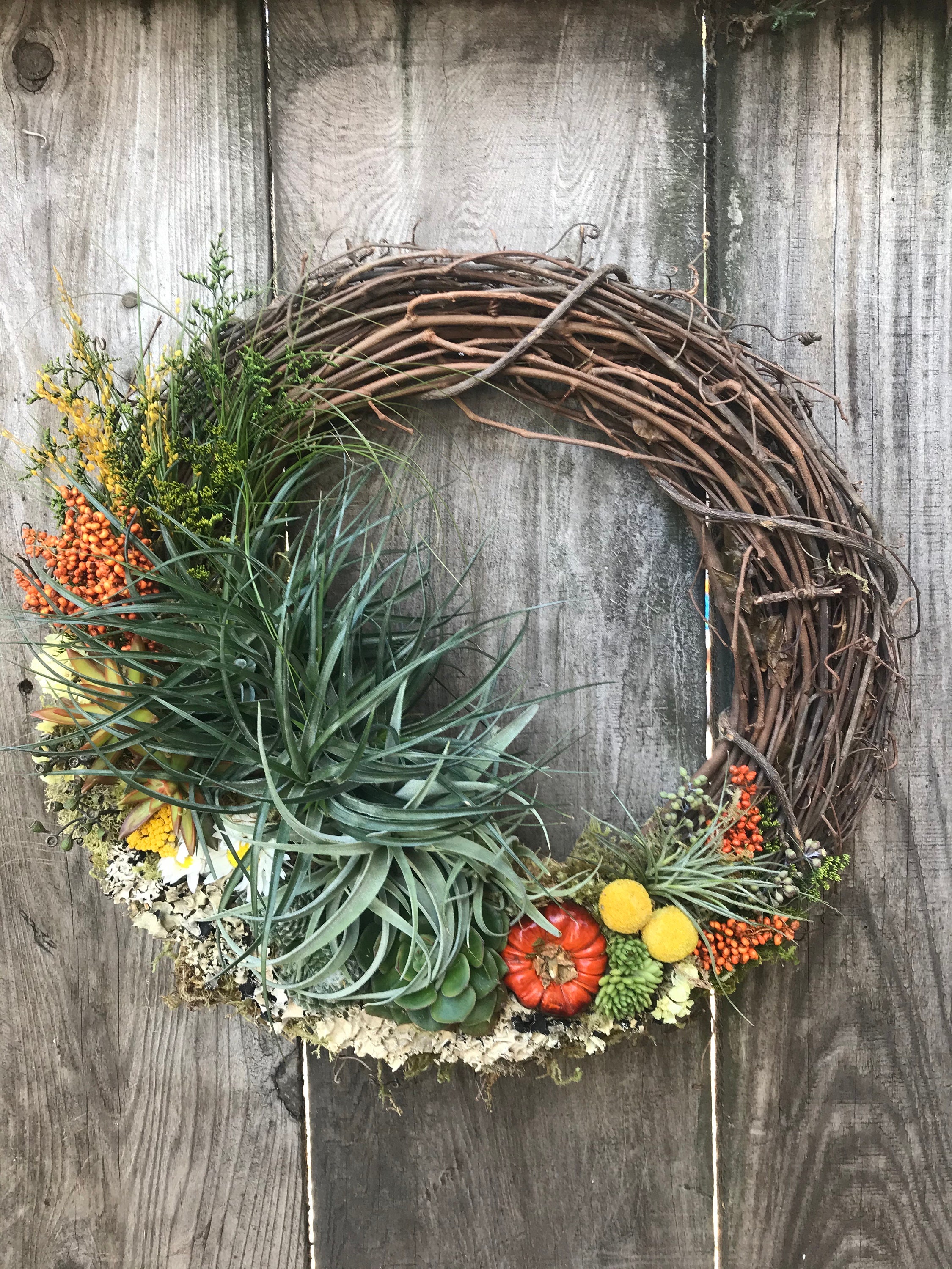 Rustic Fall Living Wreath With Air Plants (tillandsias), Succulents ...