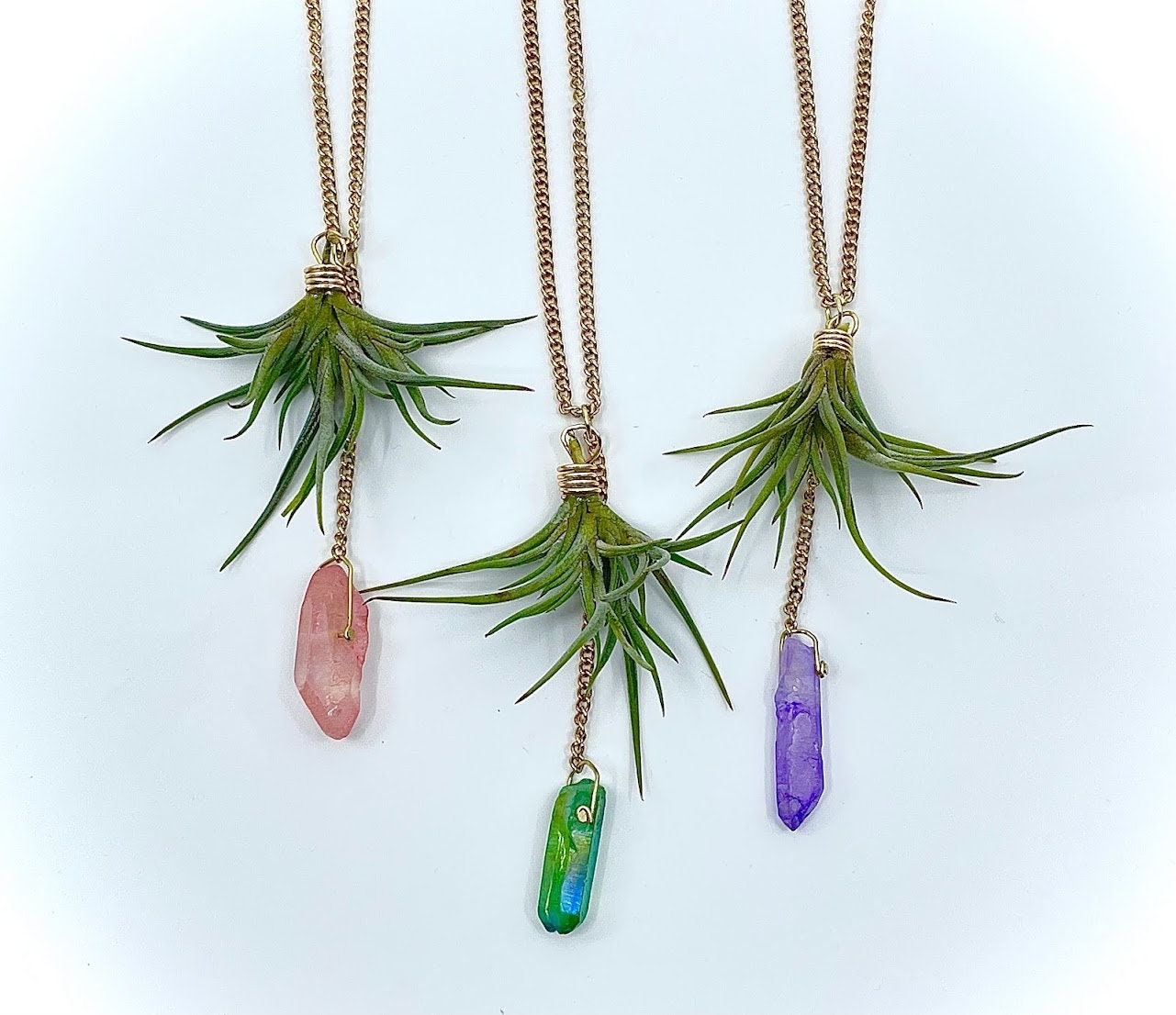 Living Air Plant Necklace With Charms, Gemstones, Crystals, or Beads ...