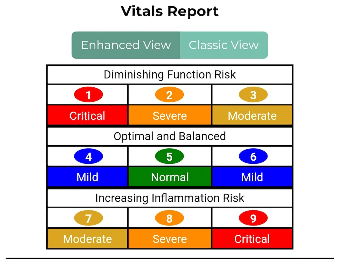 AO Scan- VITALS Scan is a Snapshot of the Frequencies Being Produced by the Blood, Organs ...