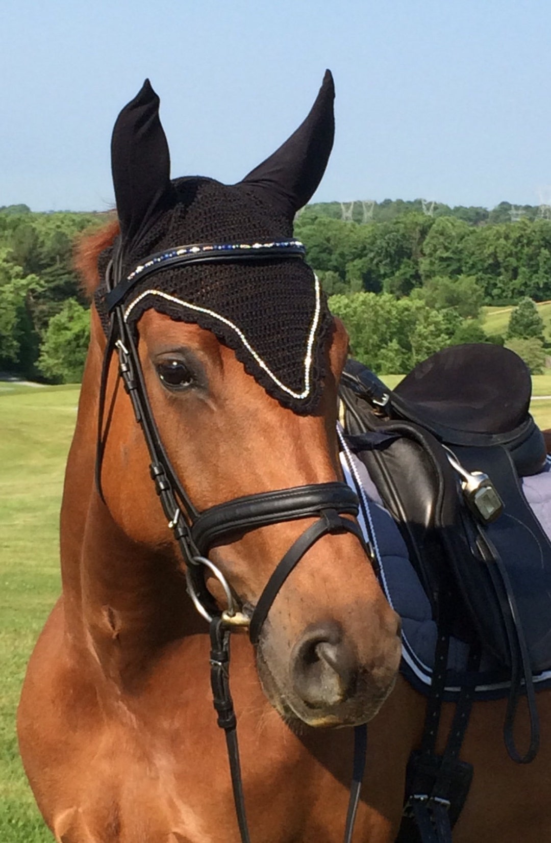 Black Horse Fly Bonnet / Fly Veil / Horse Ear Bonnet With Rhinestone ...