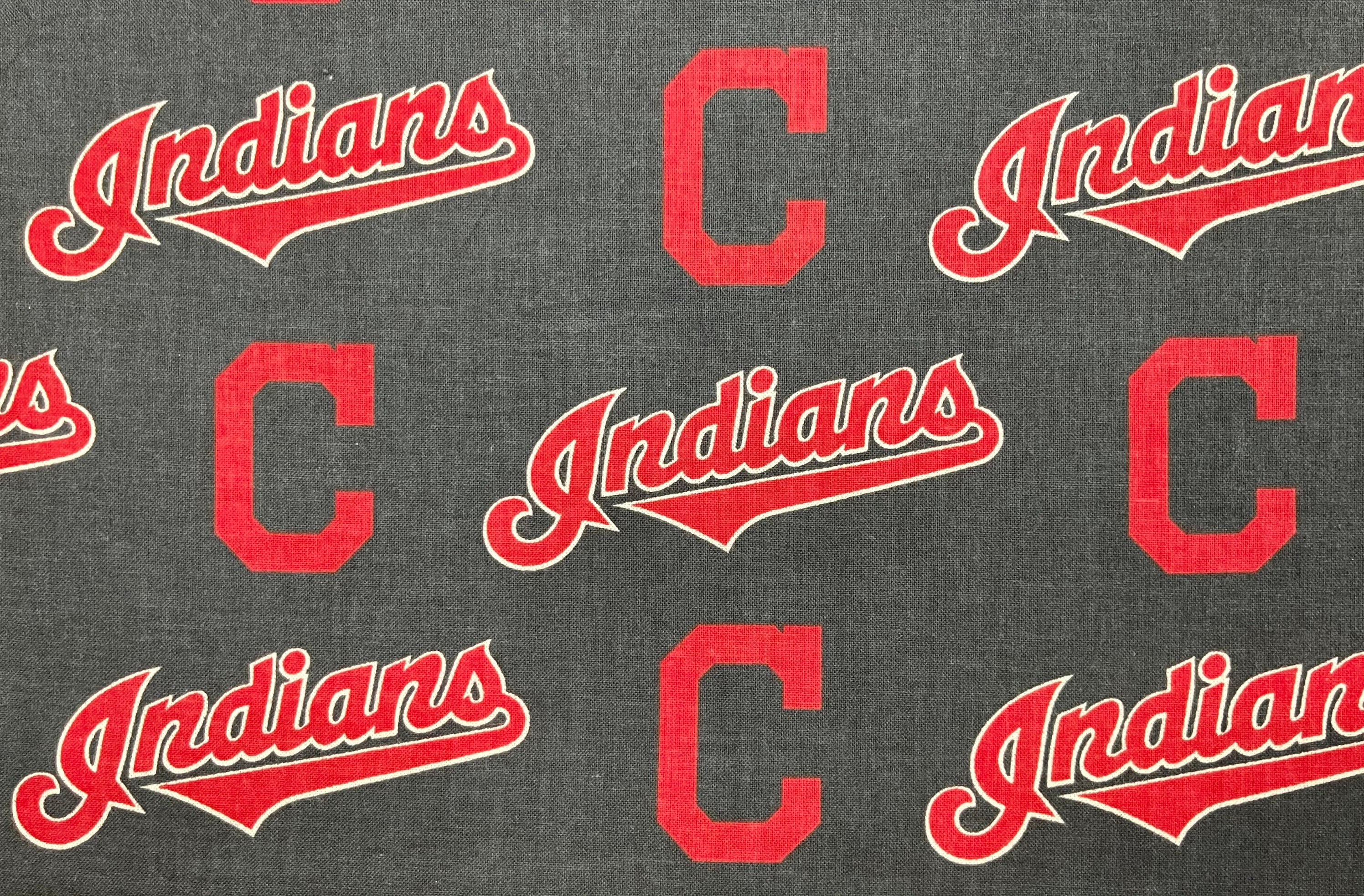Cleveland Indians MLB Baseball Face Mask Adjustable Nose | Etsy