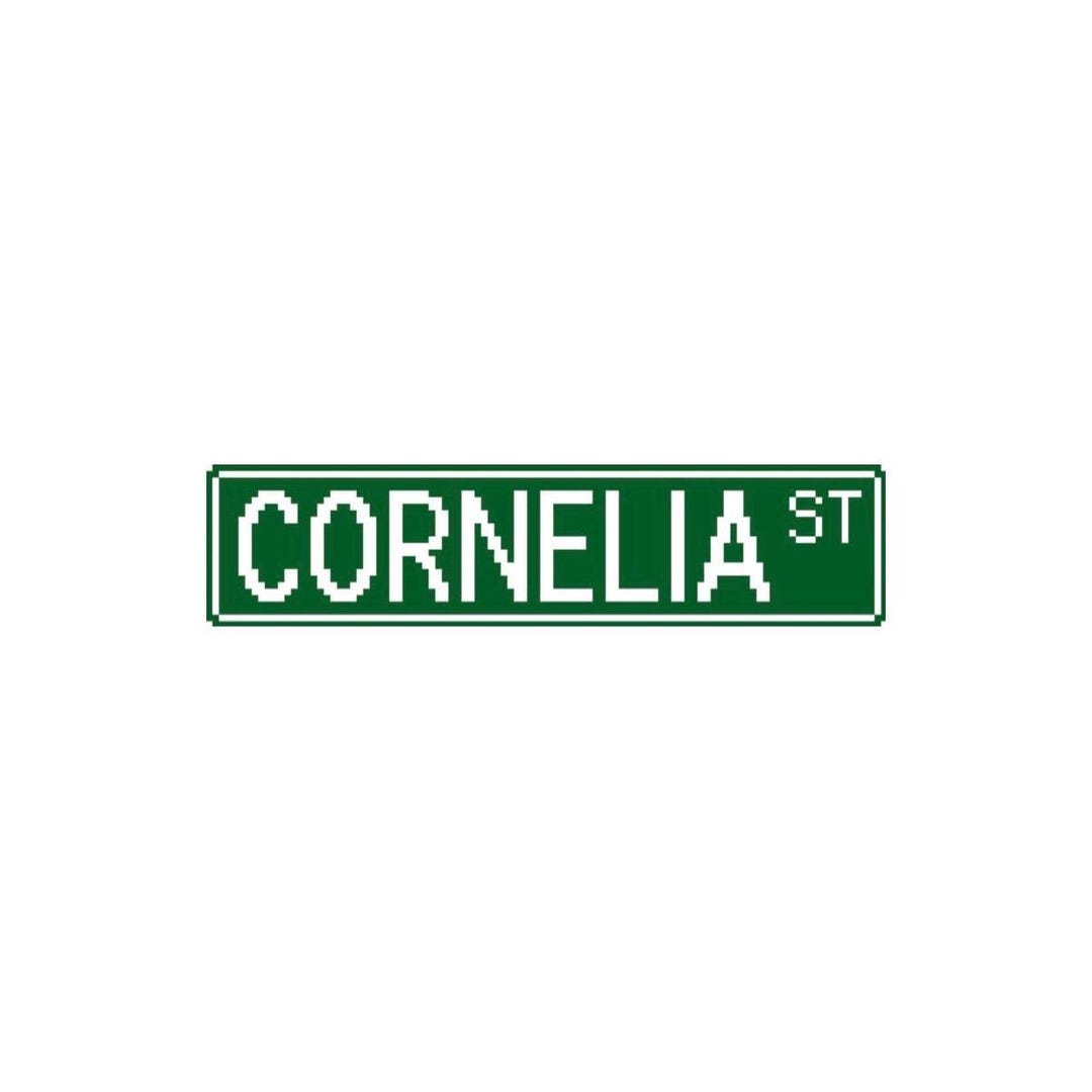 Cornelia Street Sign Needlepoint Chart - Etsy