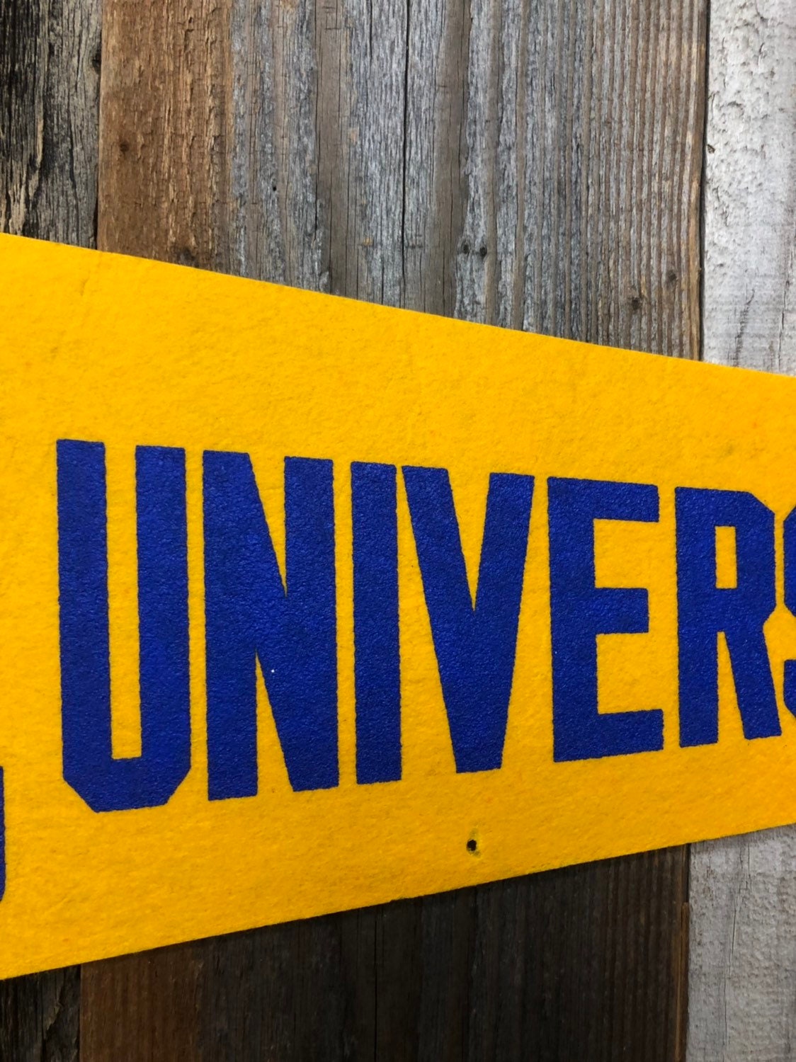 Universal Studios Hollywood Souvenir Pennant / Southern | Etsy