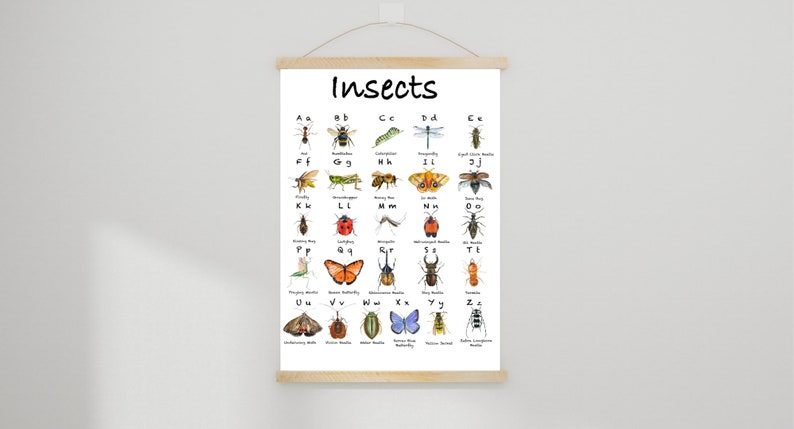 INSECTS ABC POSTERS / Montessori / Daycare / Preschool / Homeschool ...