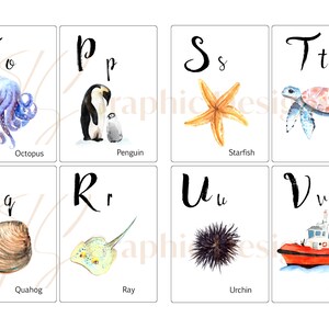 ABC Ocean Water Color Animals / Flashcards / Banner / Montessori ...