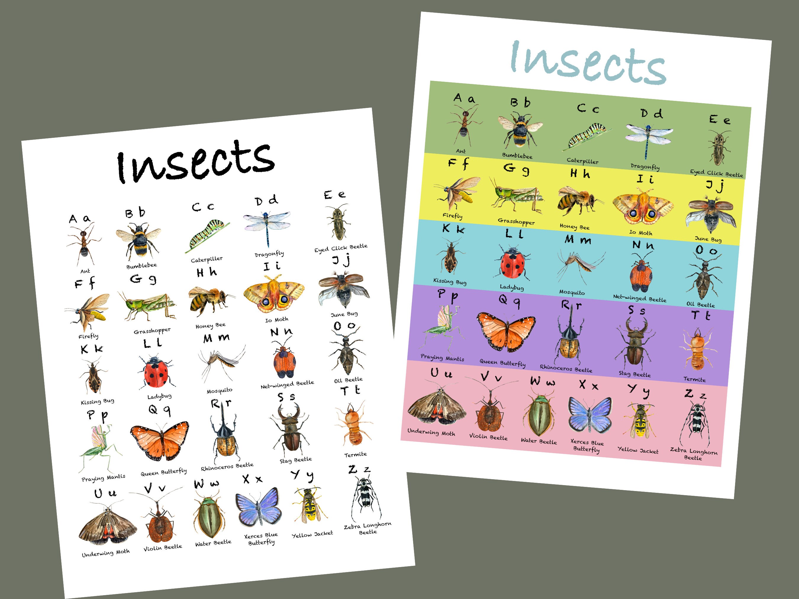 INSECTS ABC POSTERS / Montessori / Daycare / Preschool / Homeschool ...