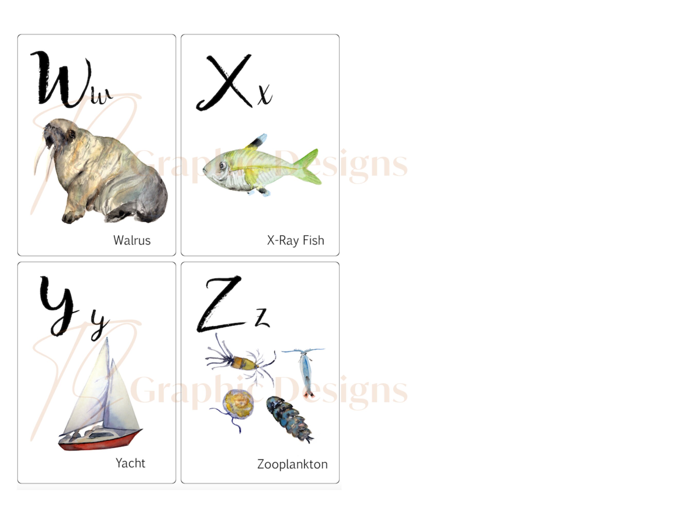 ABC Ocean Water Color Animals / Flashcards / Banner / Montessori ...