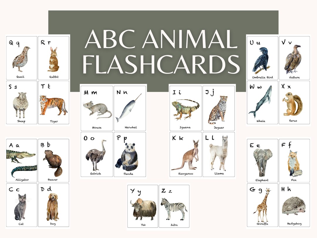 Alphabet Flashcards / Abcs / Animals / Montessori / Watercolor ...