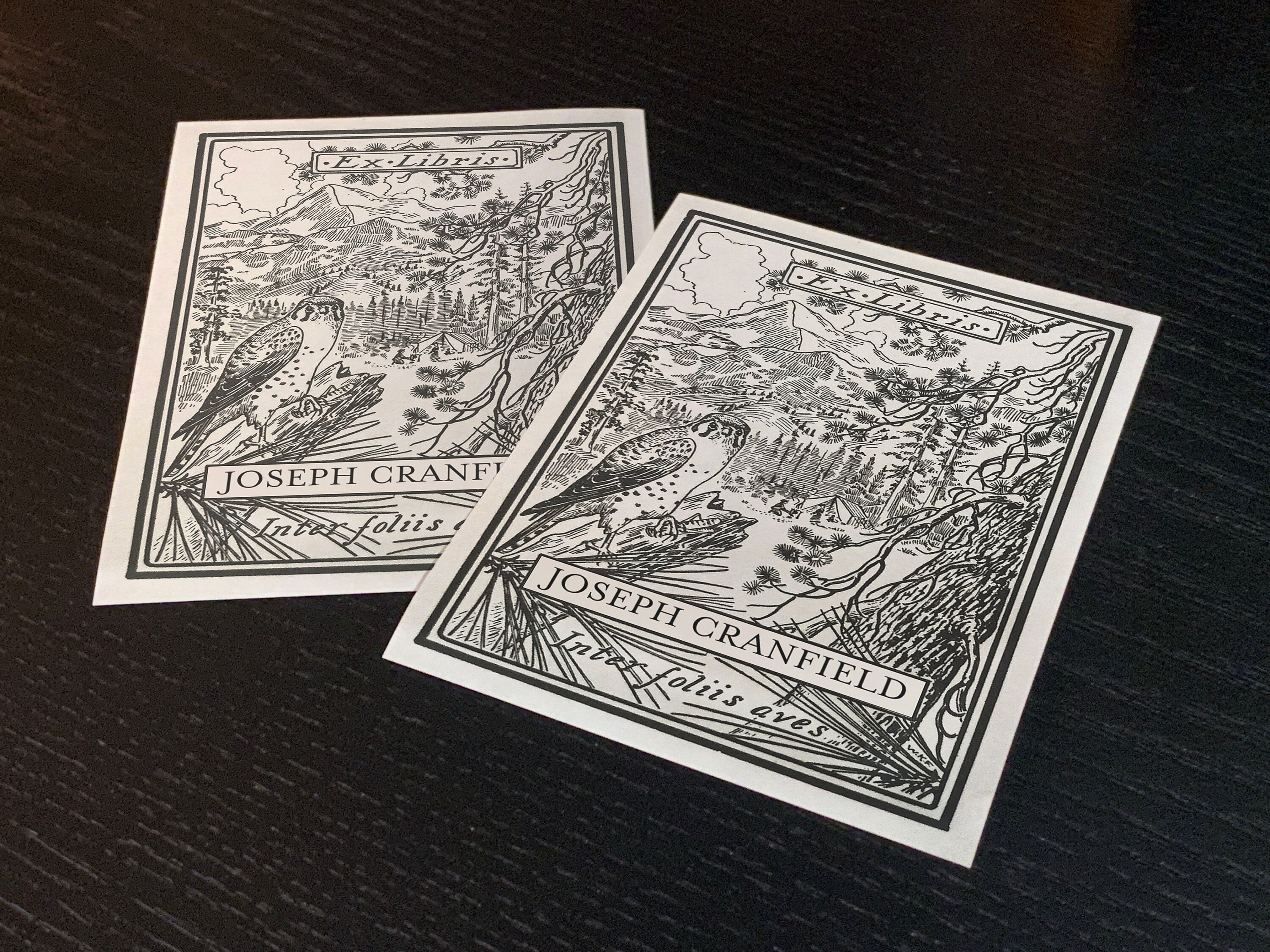 Regal Hawk Personalized Ex-libris Bookplates Crafted on | Etsy
