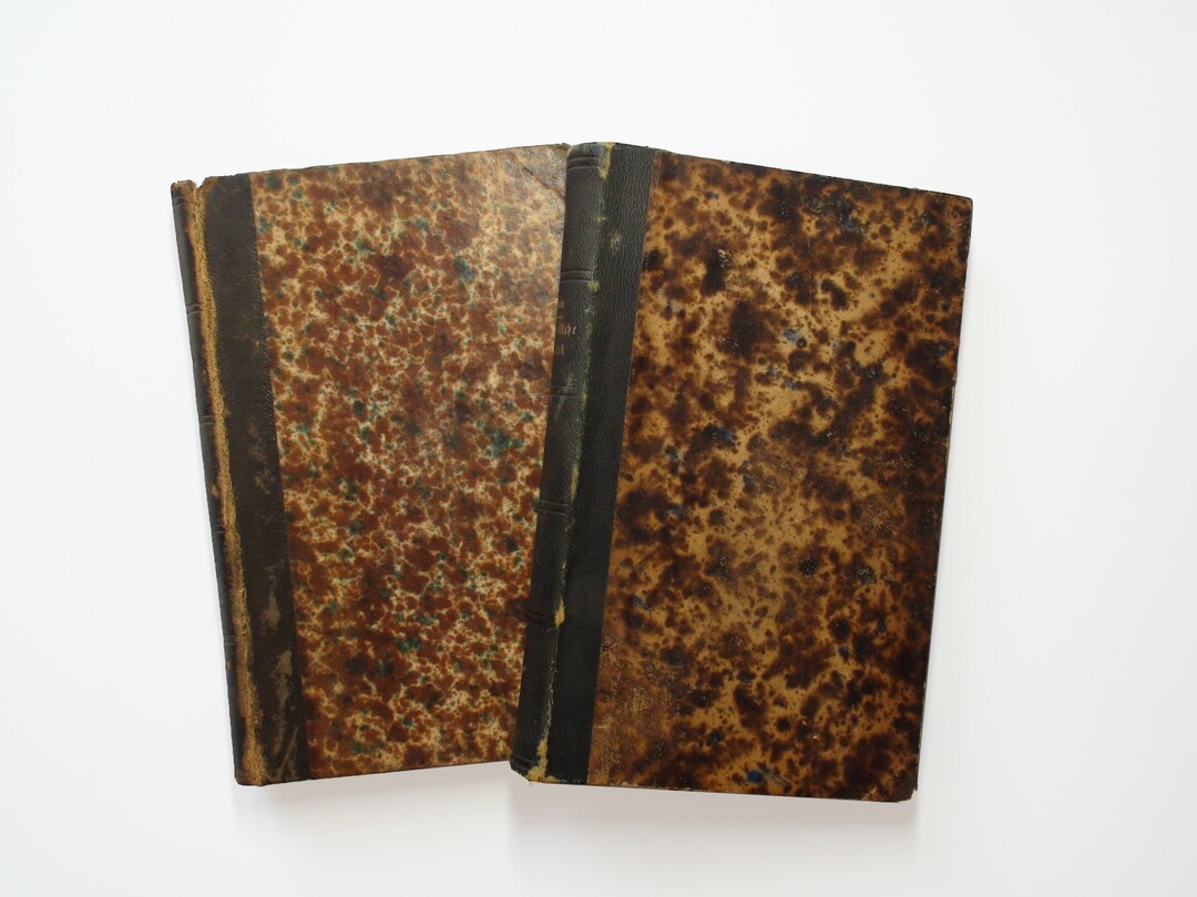 Christliche Politik, Charles Perin, in 2 Vol, German Language, Scarce ...