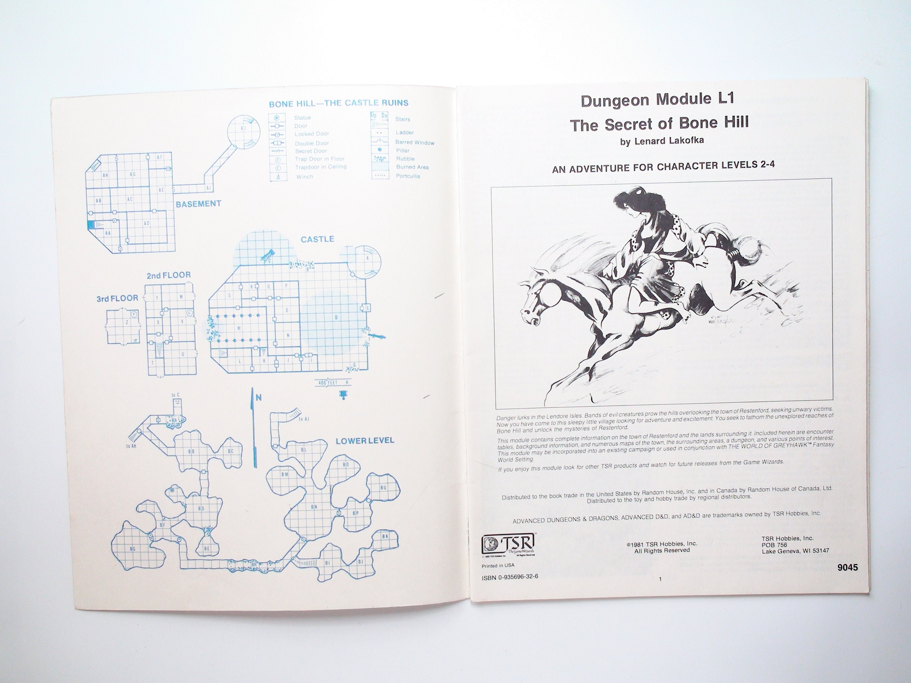 The Secret of Bone Hill by Lenard Lakofka TSR AD&D Module L1 - Etsy