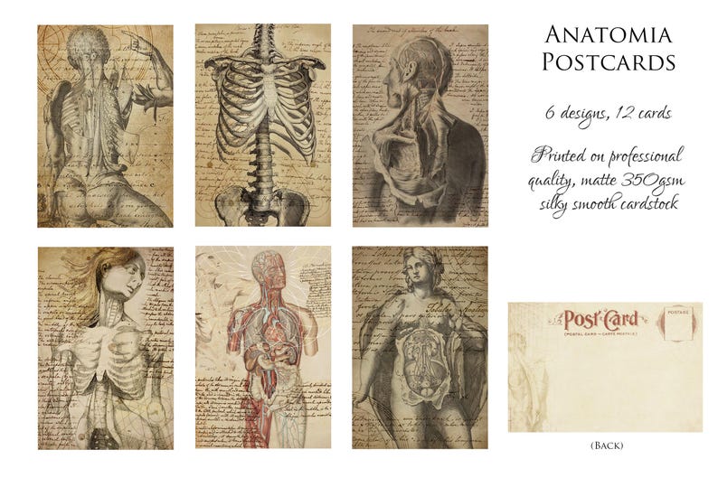 Anatomia, Set of Antique Anatomy Postcards, Exclusively Designed ...