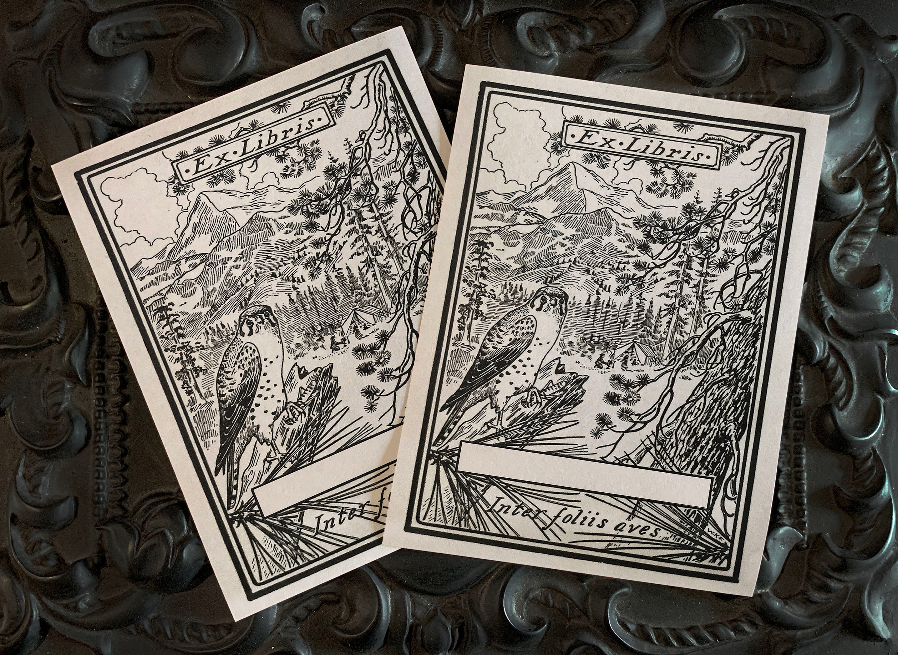 Regal Hawk Personalized Ex-libris Bookplates Crafted on | Etsy