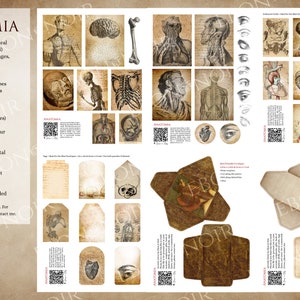 ANATOMIA, Anatomical Crafting Kit Based on Ancient Medical Texts, Book ...