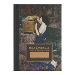 Pandora, Chaos Coordinator, Softcover Composition Notebook, Lined Idea ...
