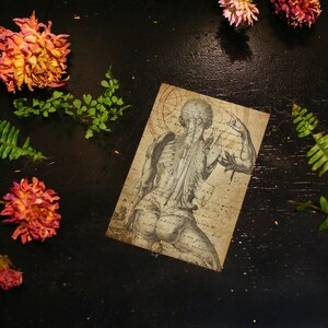 Anatomia, Antique Anatomy Postcard/greeting Card Set, Exclusively ...