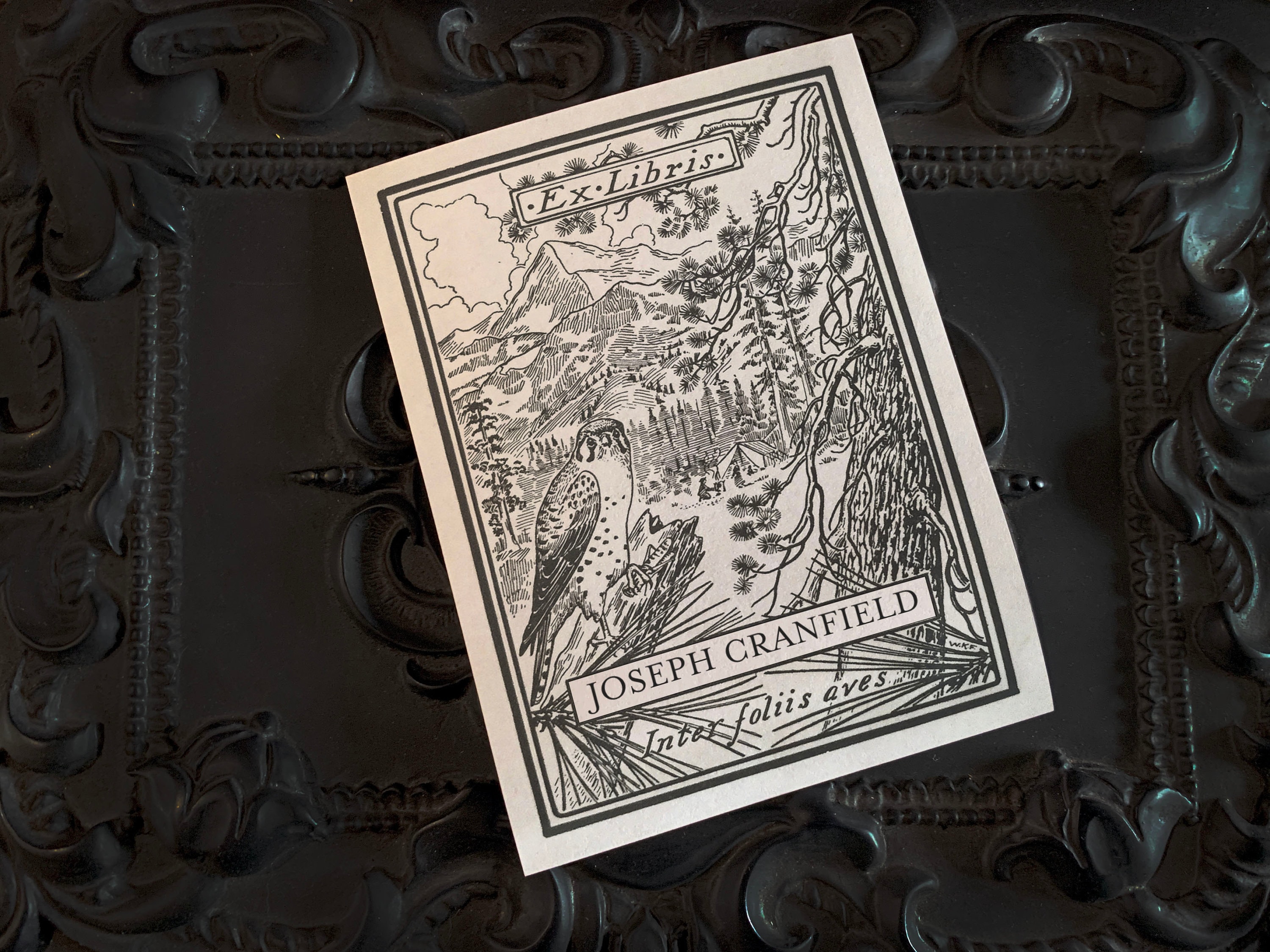 Regal Hawk Personalized Ex-libris Bookplates Crafted on | Etsy