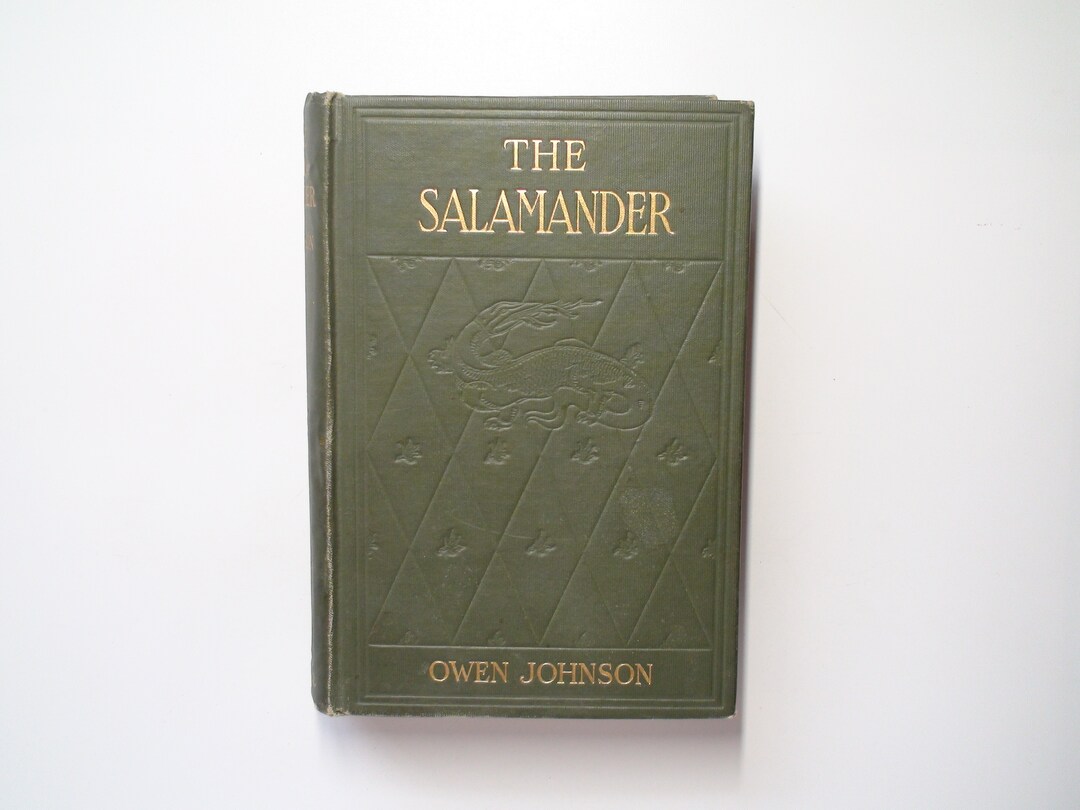 The Salamander, Owen Johnson, Illustrated by Everett Shinn, 1914 - Etsy