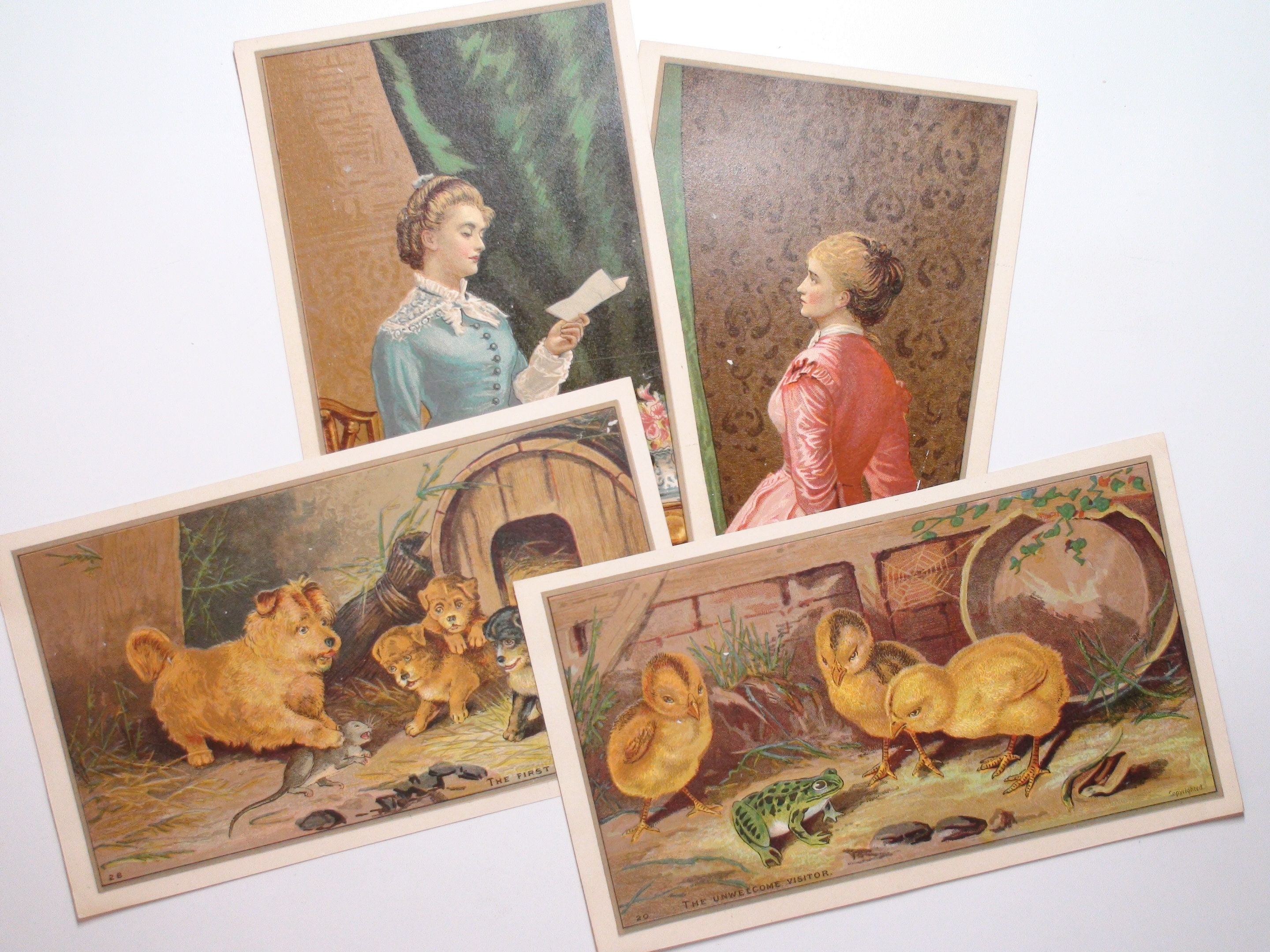 Lot of 6 Original Victorian Postcards In Excellent Condition | Etsy