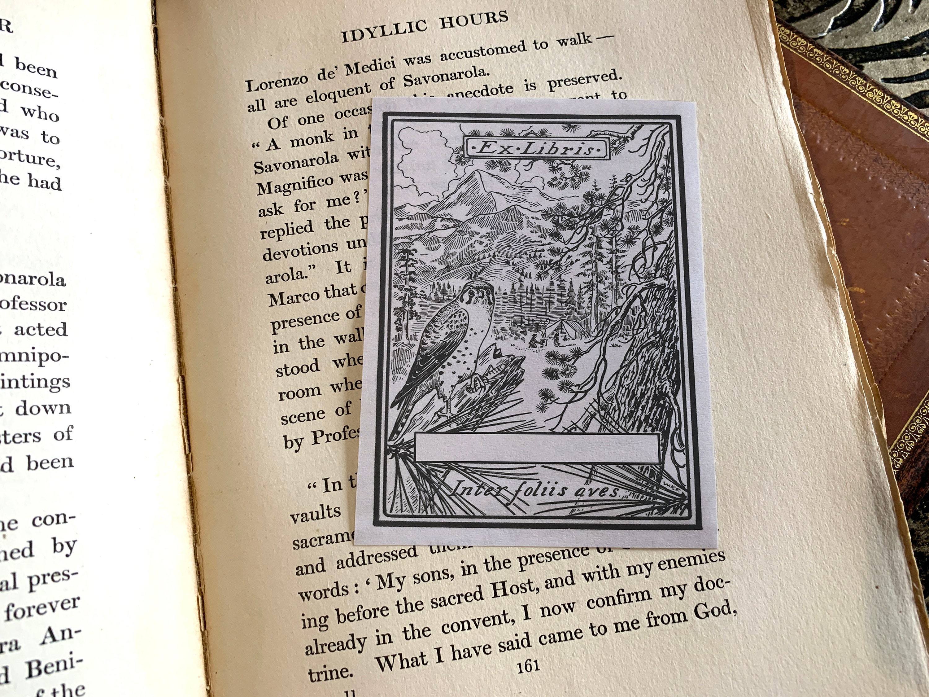 Regal Hawk Personalized Ex-Libris Bookplates Crafted on | Etsy