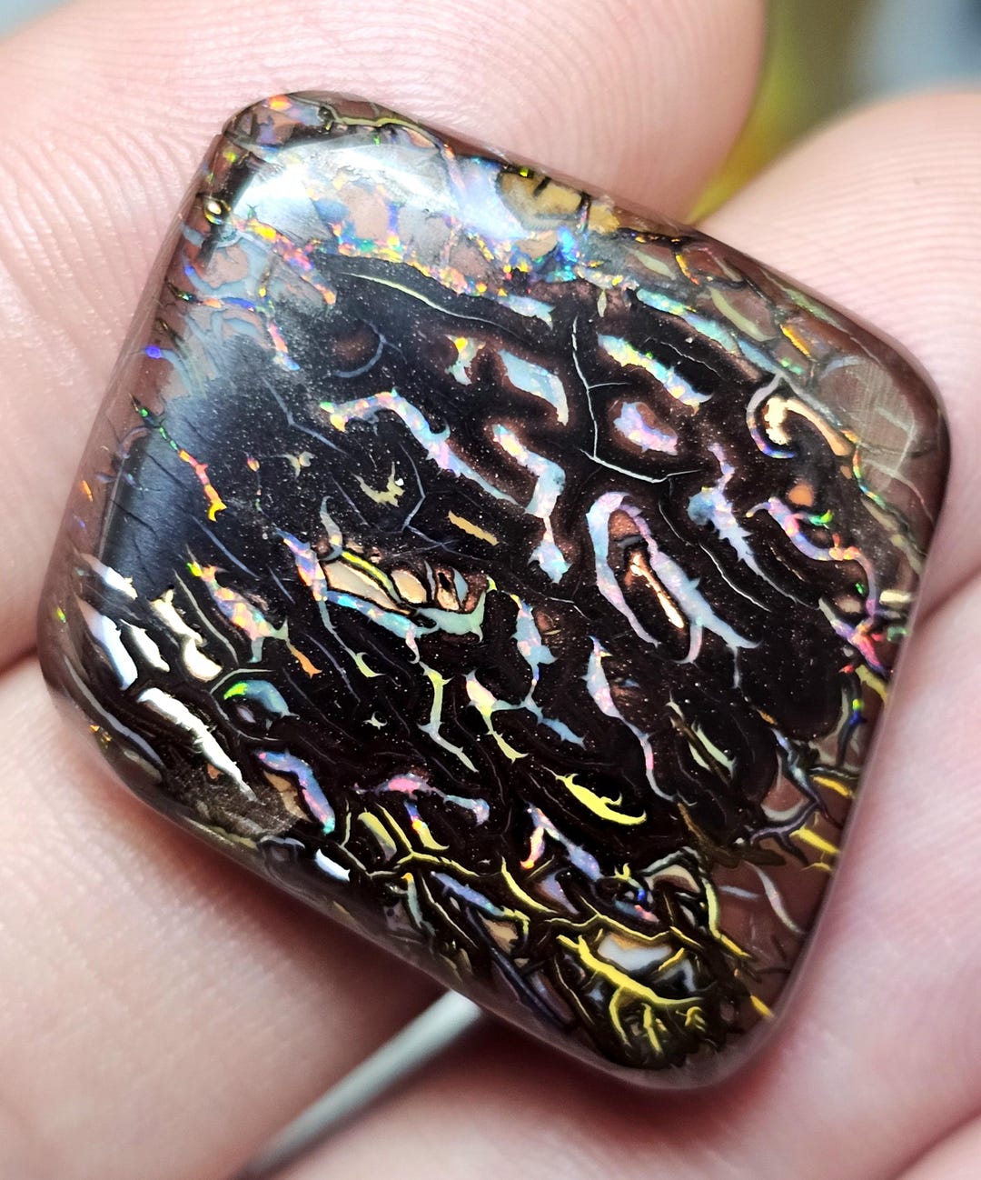 51cts Special Koroit Nut Boulder Opal! (JSMD24) - Etsy Australia