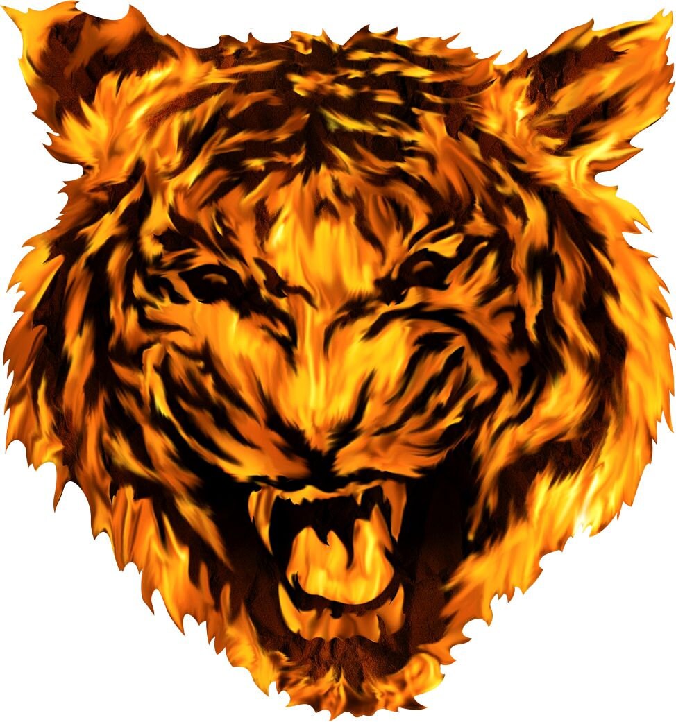 Tiger decal, full color tiger decal, fire tiger sticker, tiger laptop ...