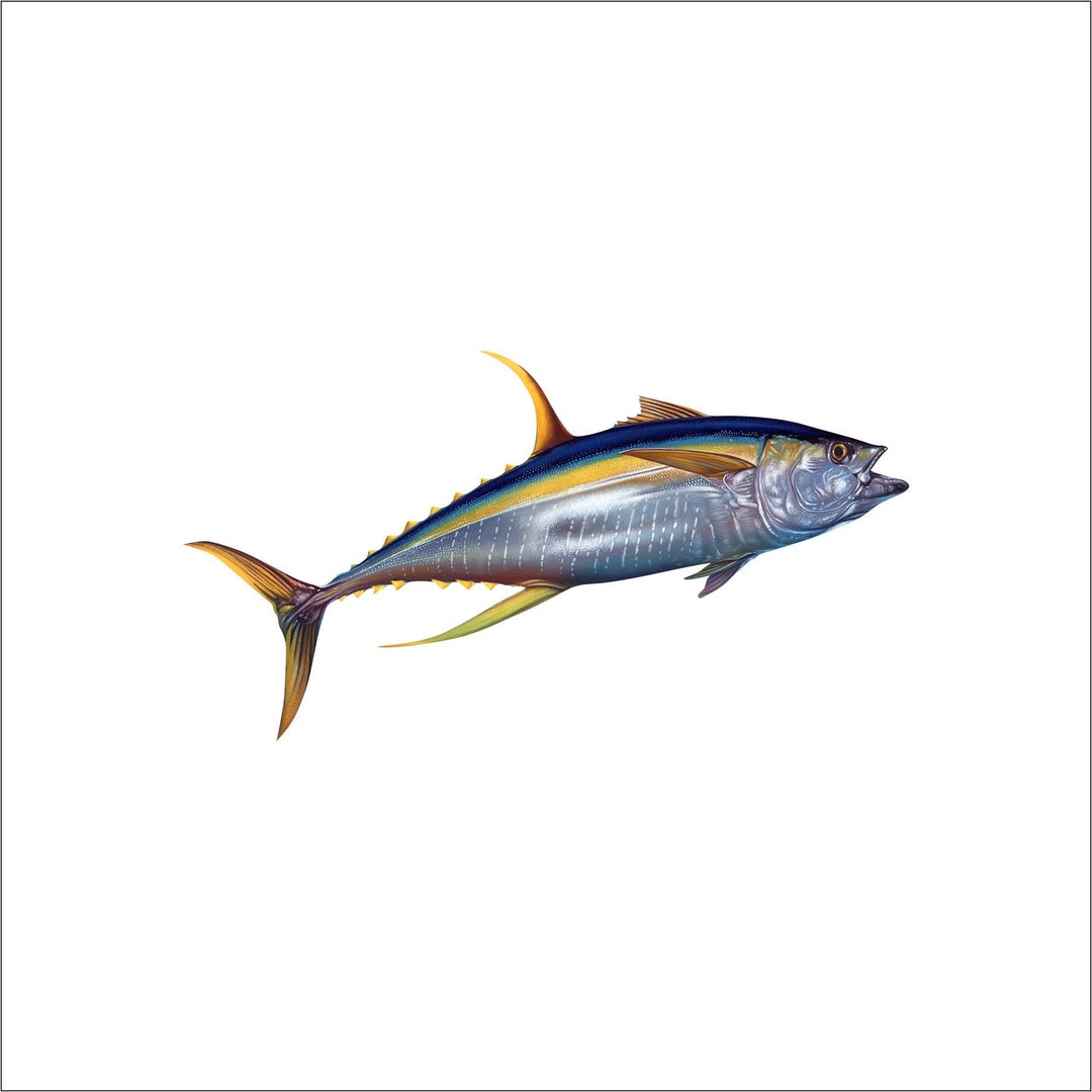 Yellow Fin Tuna Decal: Full Color Vinyl Sticker - Etsy