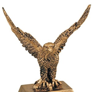 Eagle Award, Military Award, Flying Eagle Award, Golden Eagle, USA ...