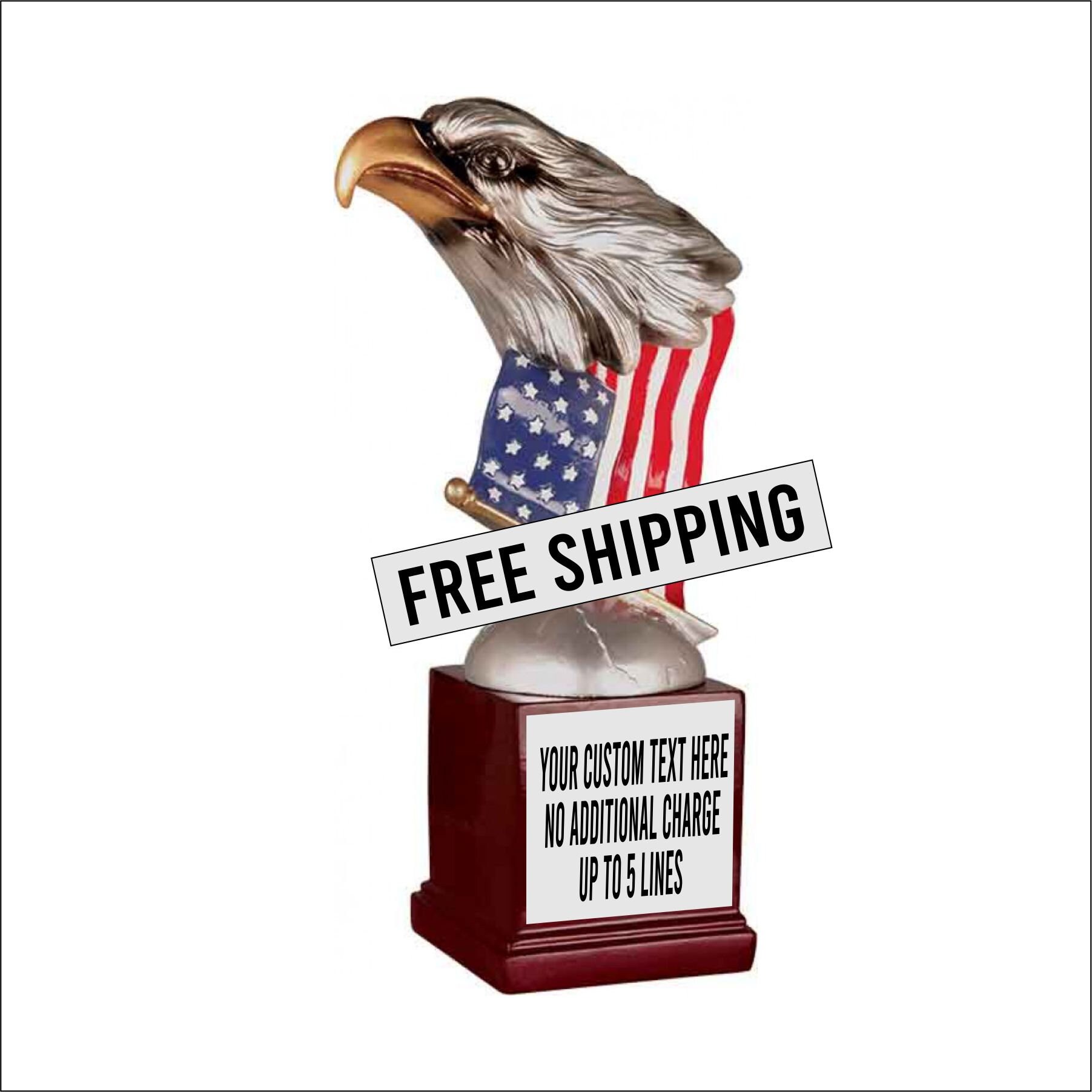Eagle With Flag Award, Military Award, Silver Eagle Award, USA Eagle ...