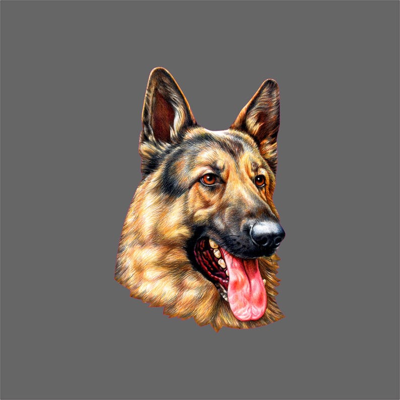 German Shepherd Decal Full Color German Shepherd Decal | Etsy
