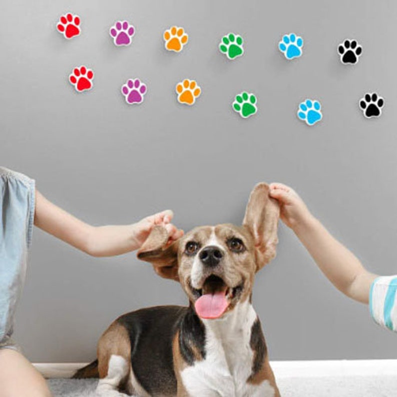 500 pcs Dog Foot Print Labels Round Roll Stickers | Etsy