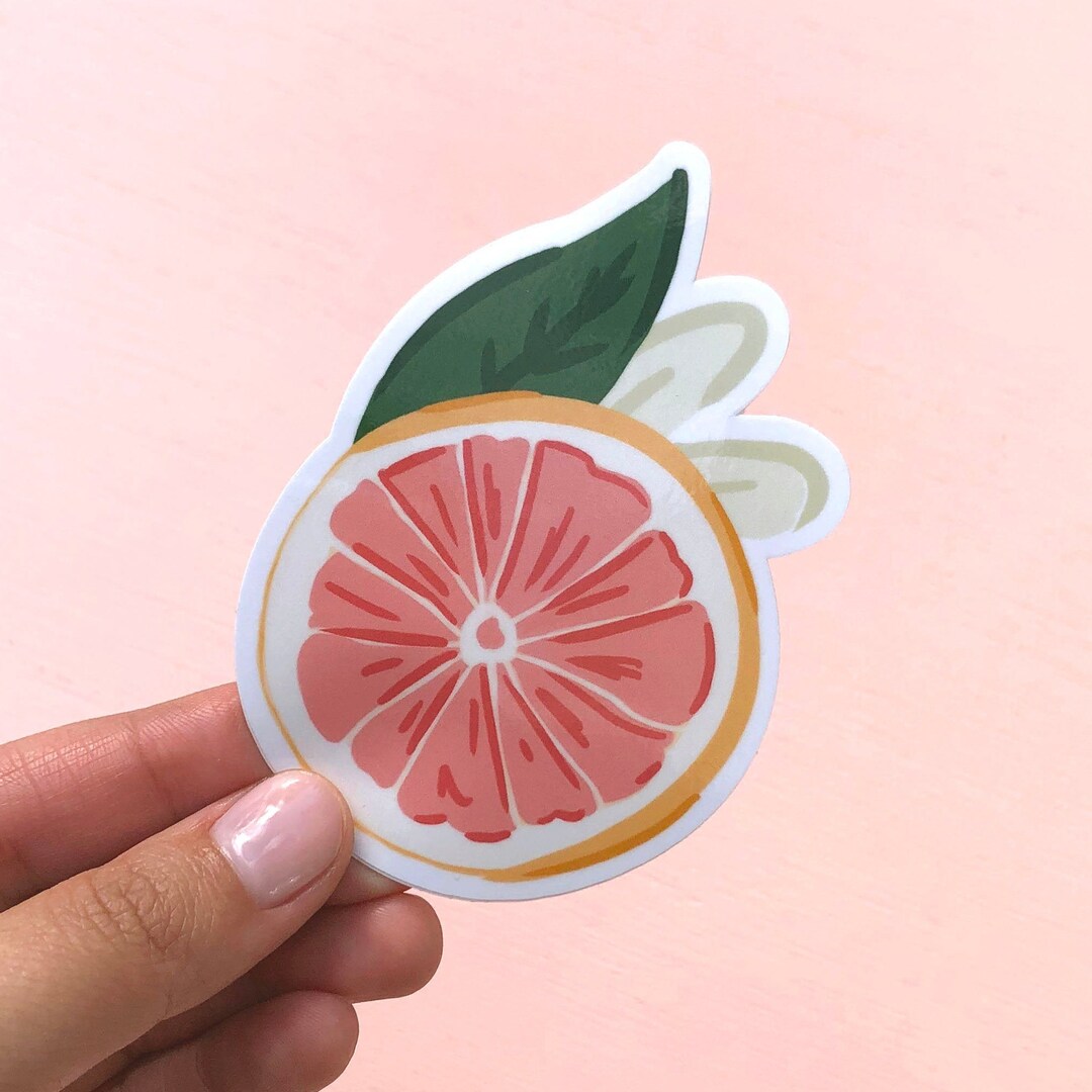 Grapefruit Vinyl Sticker, Modern Laptop Sticker, Cute Water Bottle ...