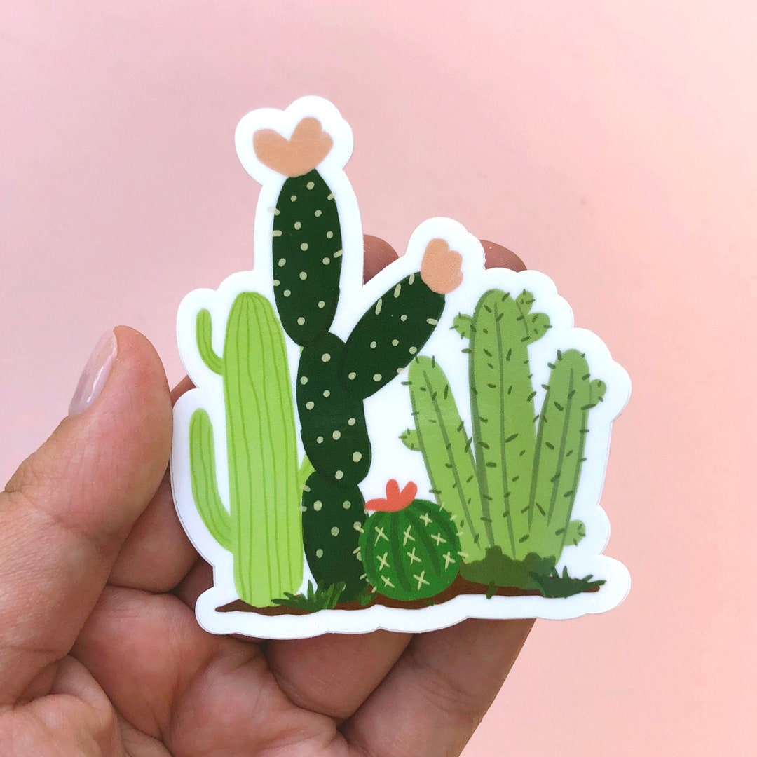 Cacti Field Vinyl Sticker, Modern Laptop Sticker, Cute Water Bottle ...