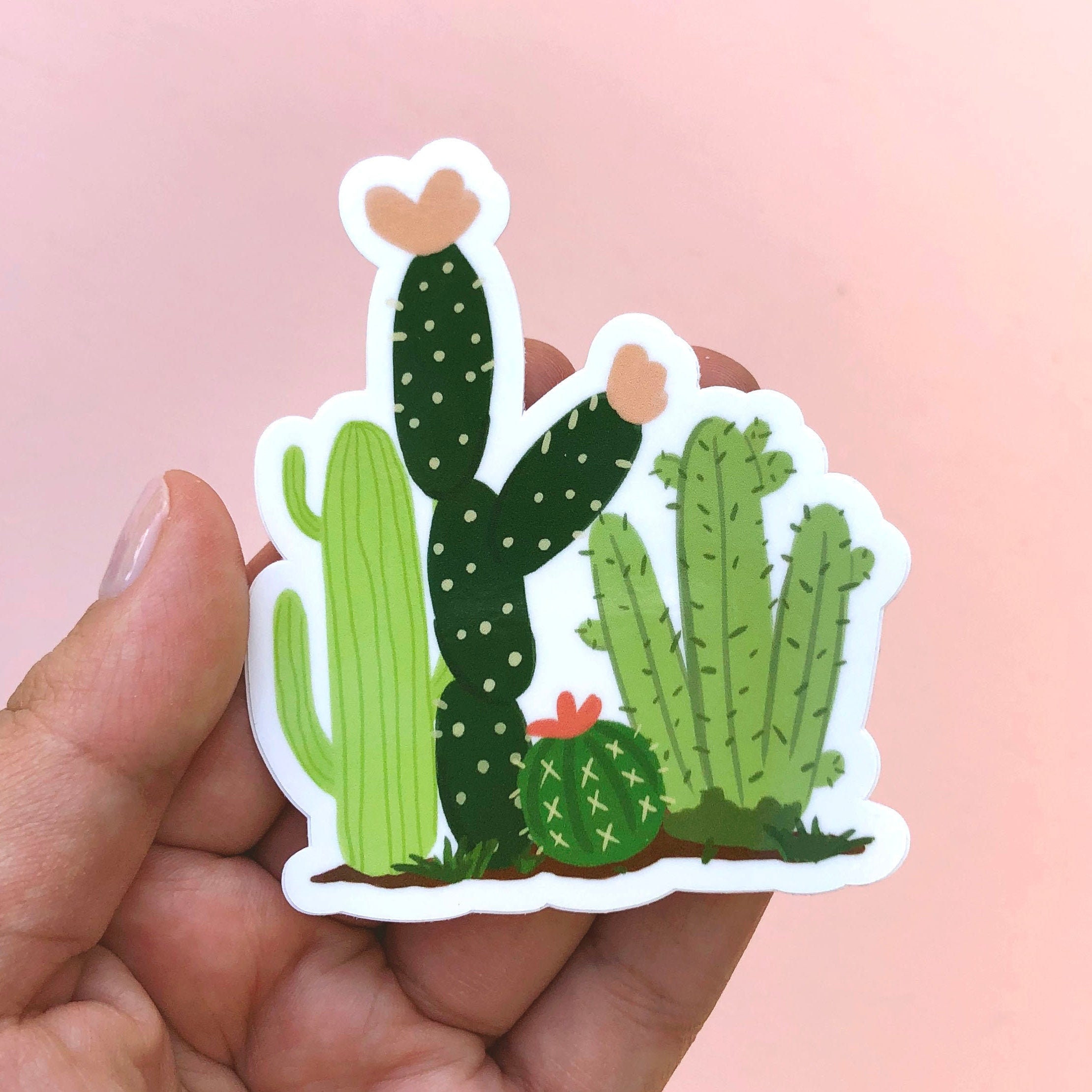 Cacti Field Vinyl Sticker Modern Laptop Sticker Cute Water - Etsy
