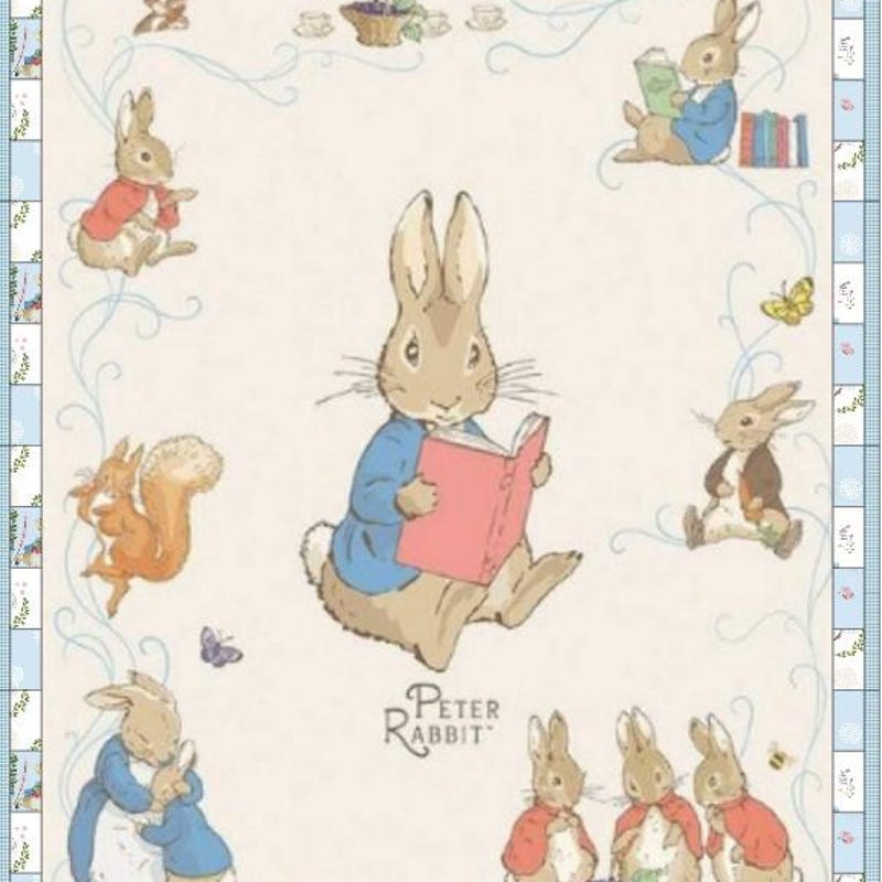 Peter Rabbit Pattern - Etsy