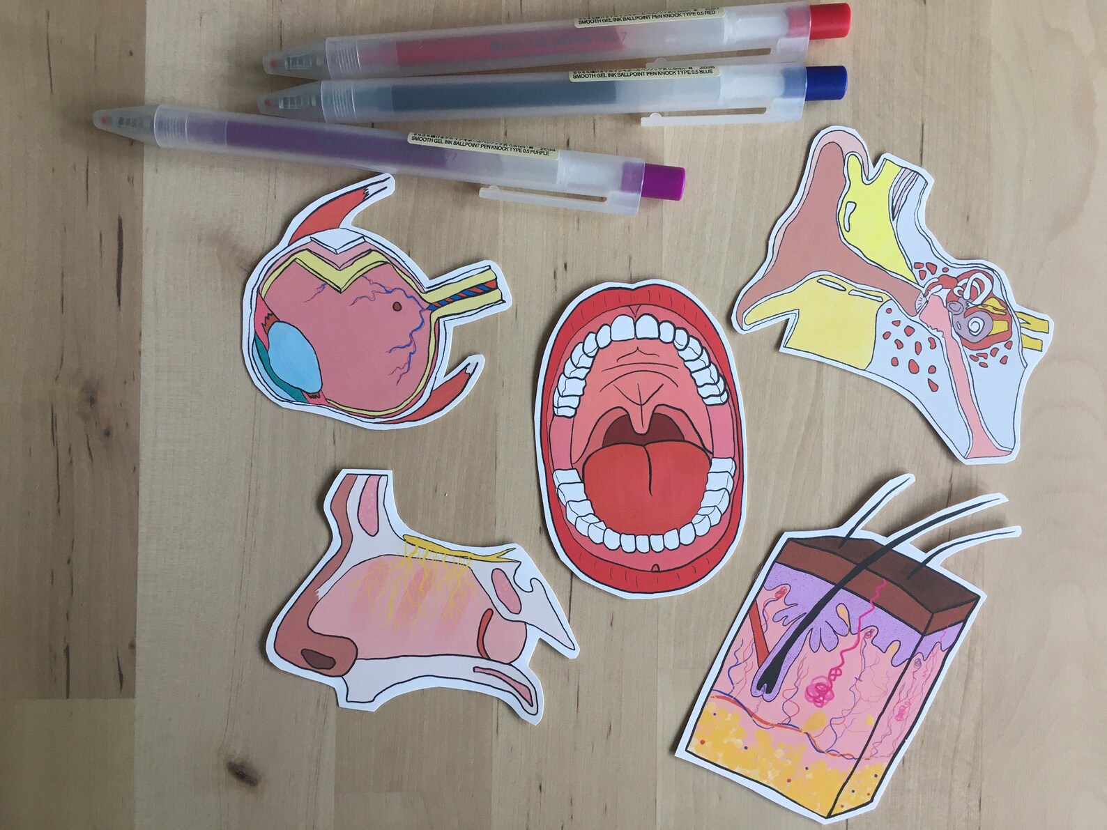The Sensational Sticker Set-5 Stickers-ear Eye Tongue Nose - Etsy