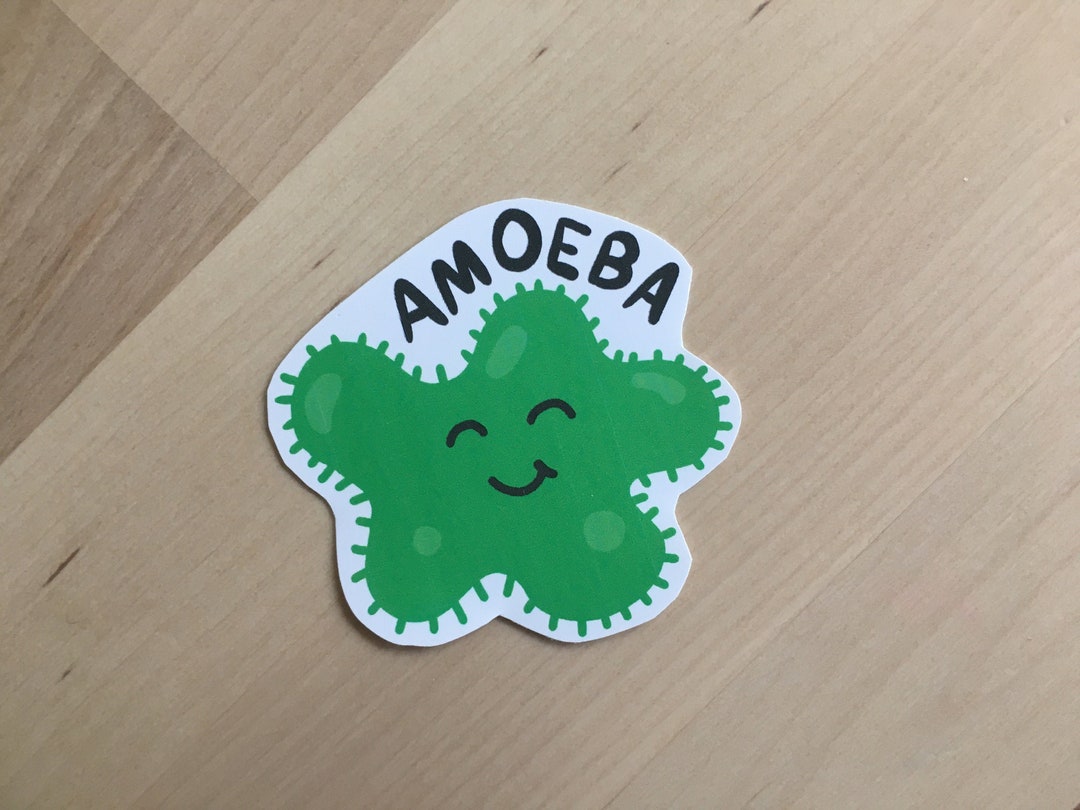 Happy Amoeba Sticker - Etsy