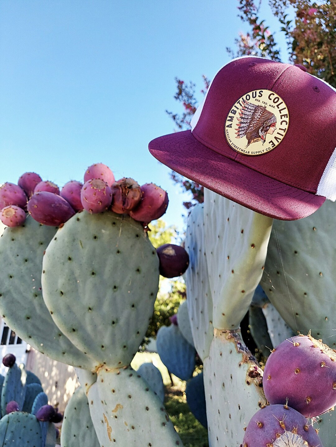 Mexican Snapbacks, Trucker Hats, Mexican Caps, Western Snapbacks ...