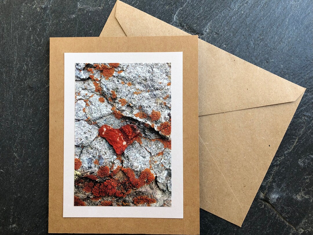 Red Heart Rock With Orange Lichen, Set 20 a-white Gold Shimmer, B-black ...