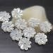 Natural White MOP Shell Flower Beads,white Shell 6mm 8 Mm 10mm Beads ...
