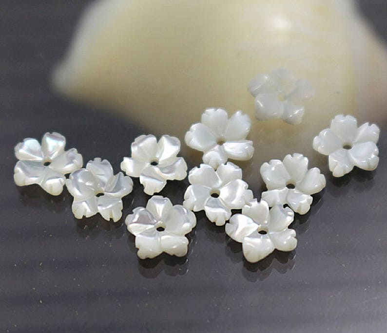 6mm Natural White MOP Shell Flower Beads,white Shell Beads, HZ0059 - Etsy