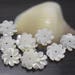 Natural White MOP Shell Flower Beads,white Shell 6mm 8 Mm 10mm Beads ...