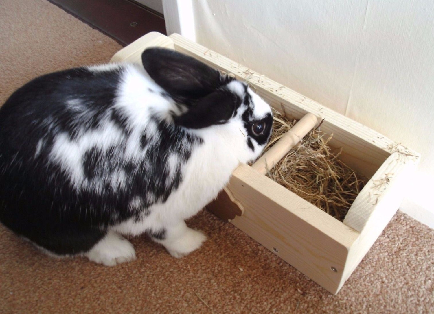 Rabbit Hay Feeder / Feeding Trough - Etsy UK