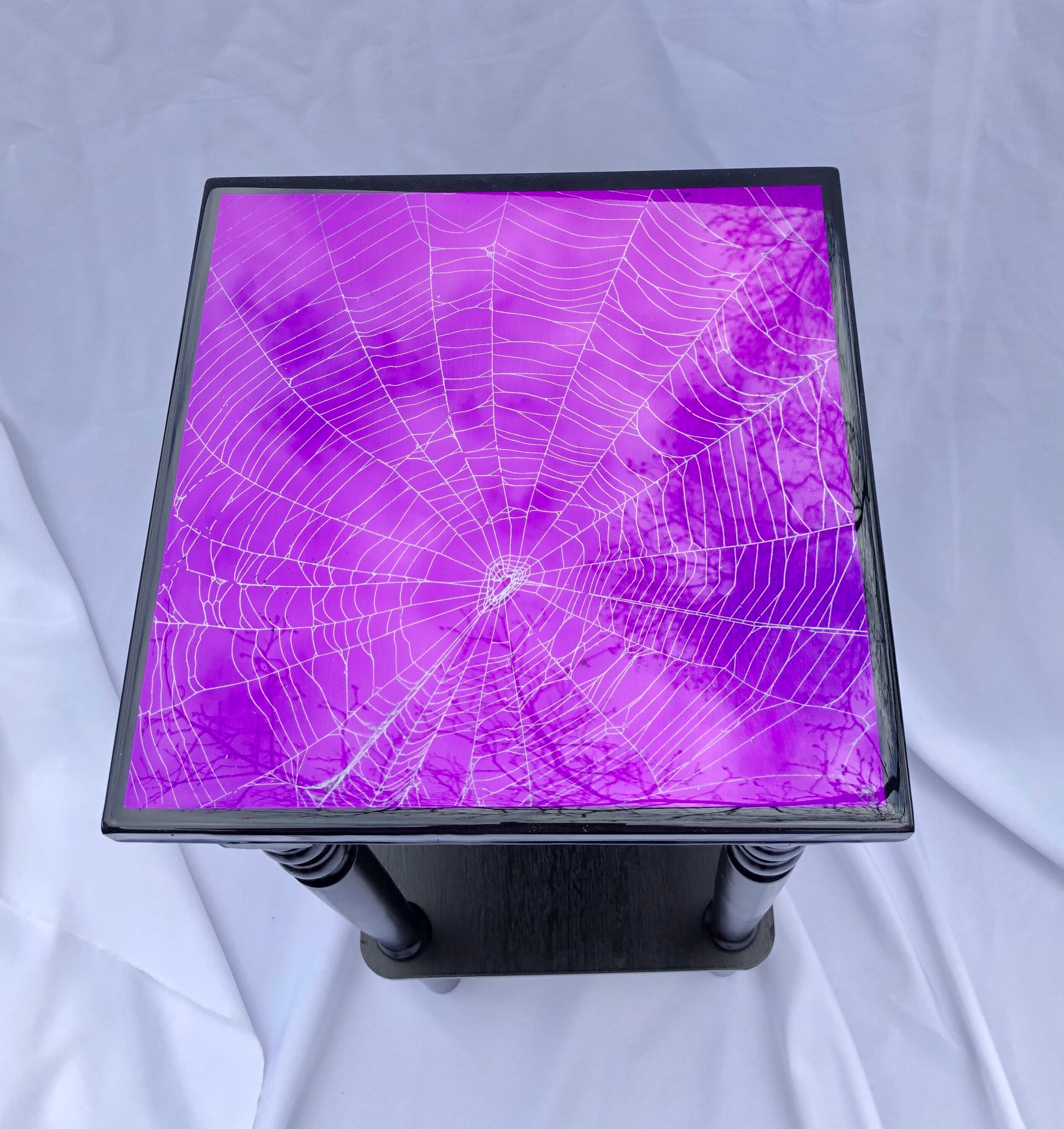 Dark Decor, Spider Web Table, Real Preserved Spider Web, Gothic ...