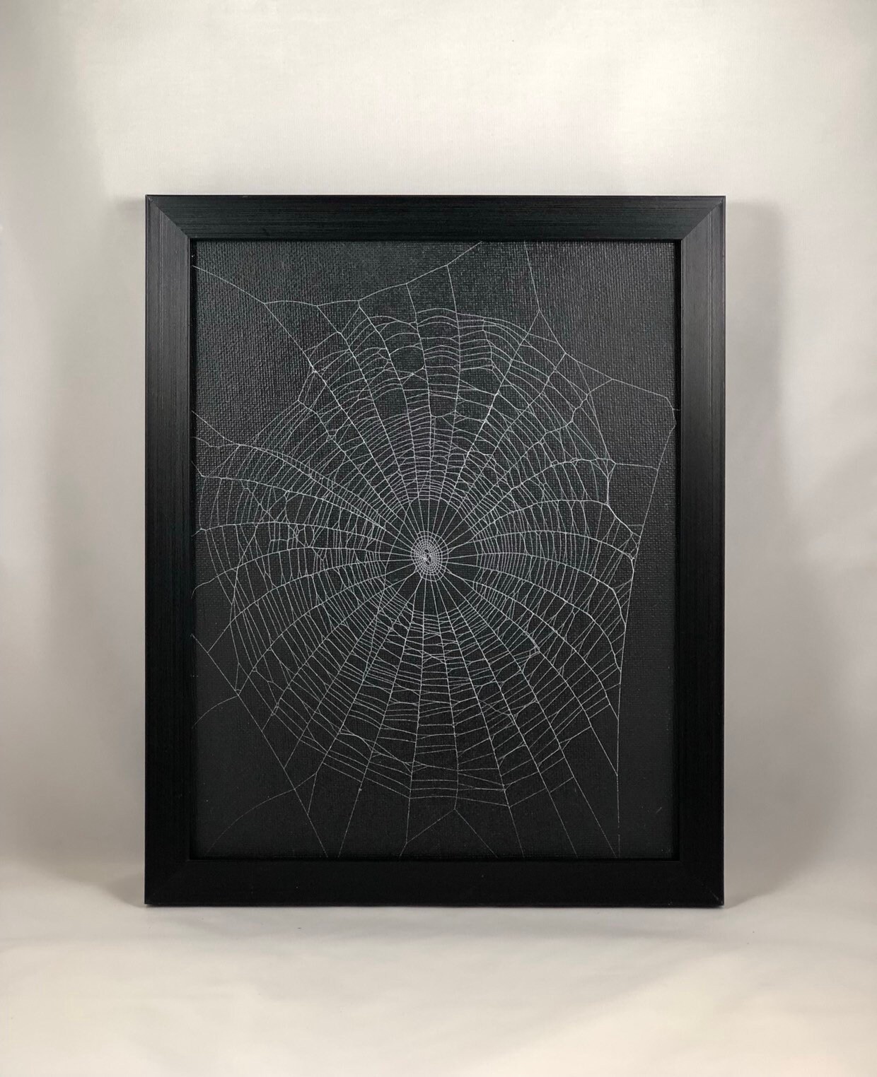 Genuine Preserved Spider Web Framed Spider Web Real Spider Web Orb ...
